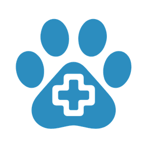Best Veterinary Hospital In Landrum, SC | Landrum Veterinary Hospital